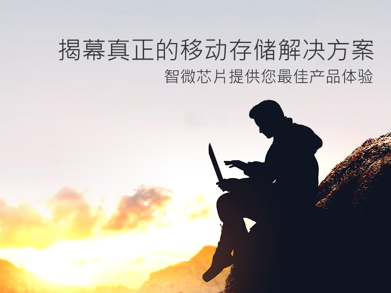 智微芯片科技 JMicron-Leading the Storage Revolution!